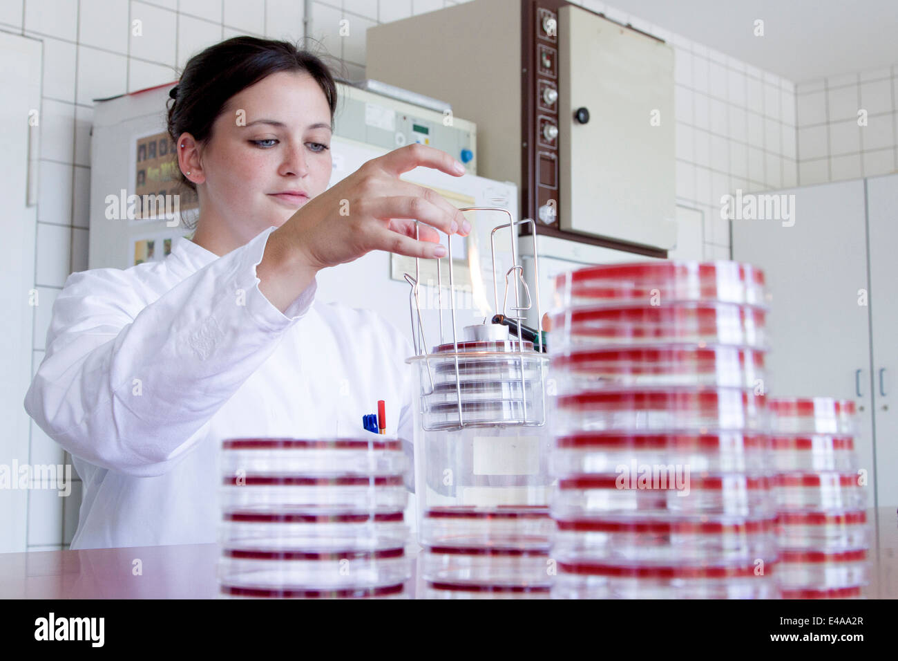 Portrait of female food analyst working in laboratory Stock Photo - Alamy