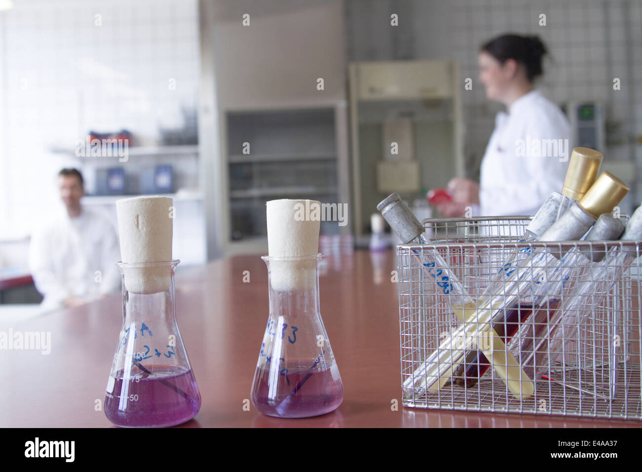 Two food analysts working in laboratory Stock Photo - Alamy