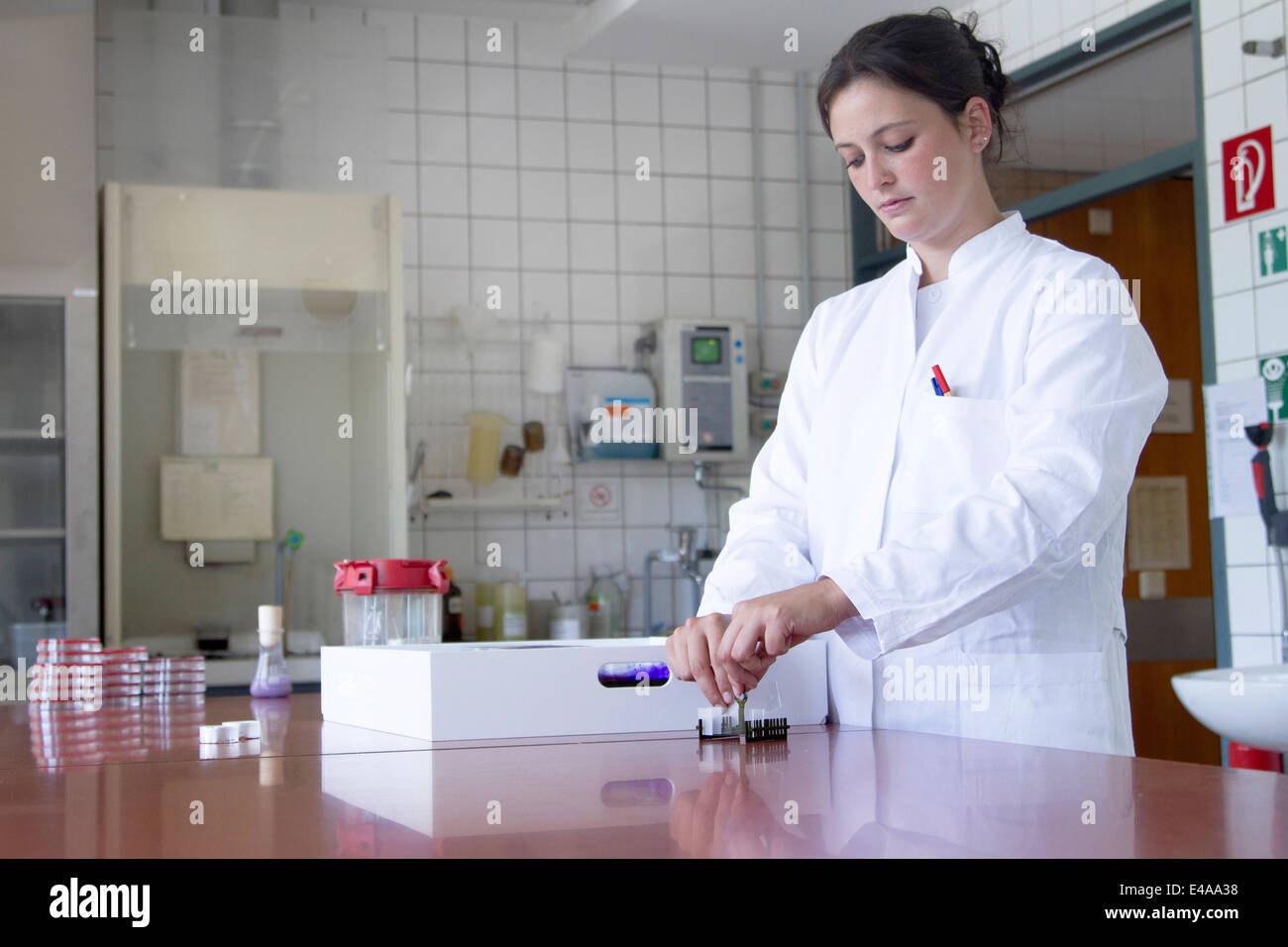 Female food analyst working in laboratory, detail Stock Photo - Alamy