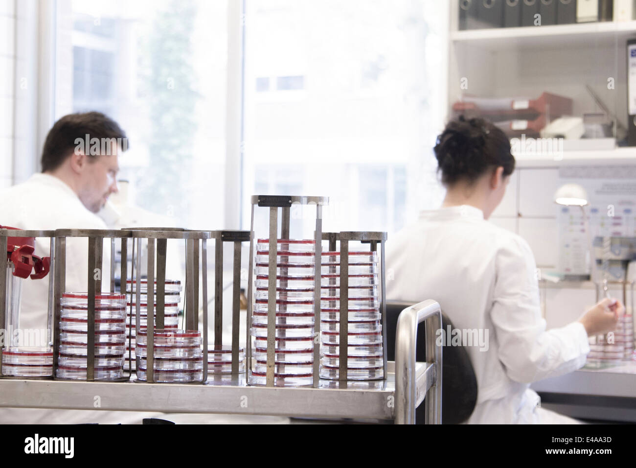 Two food analysts working in laboratory Stock Photo - Alamy