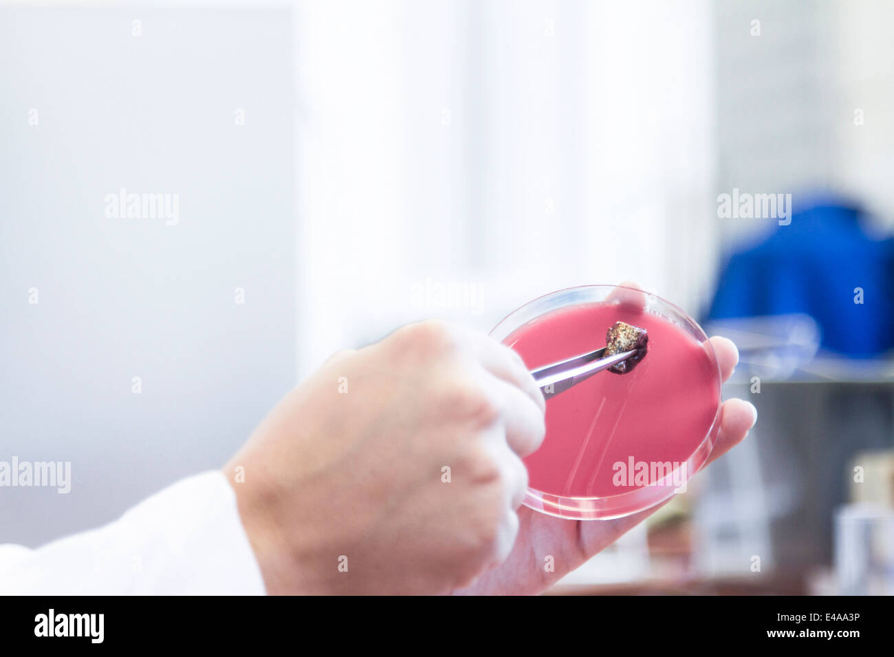 Detail laboratory hi-res stock photography and images - Alamy