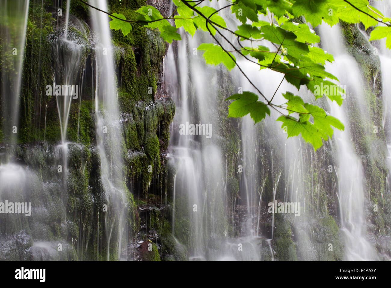 Scale Haw Force near Hebden in Wharfedale Yorkshire Dales England Stock ...