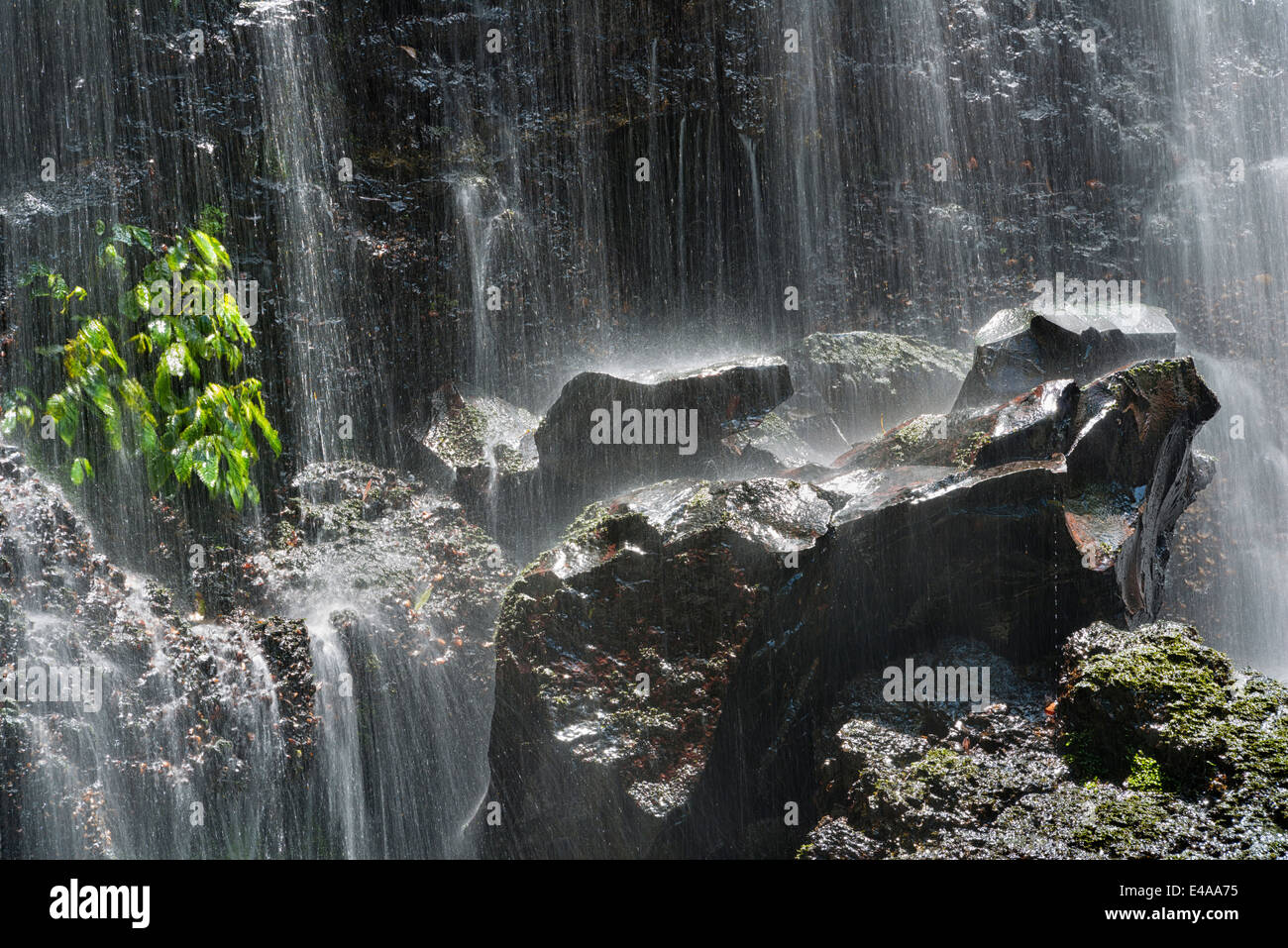Australia, New South Wales, Dorrigo, waterfall and rocks in the Dorrigo ...