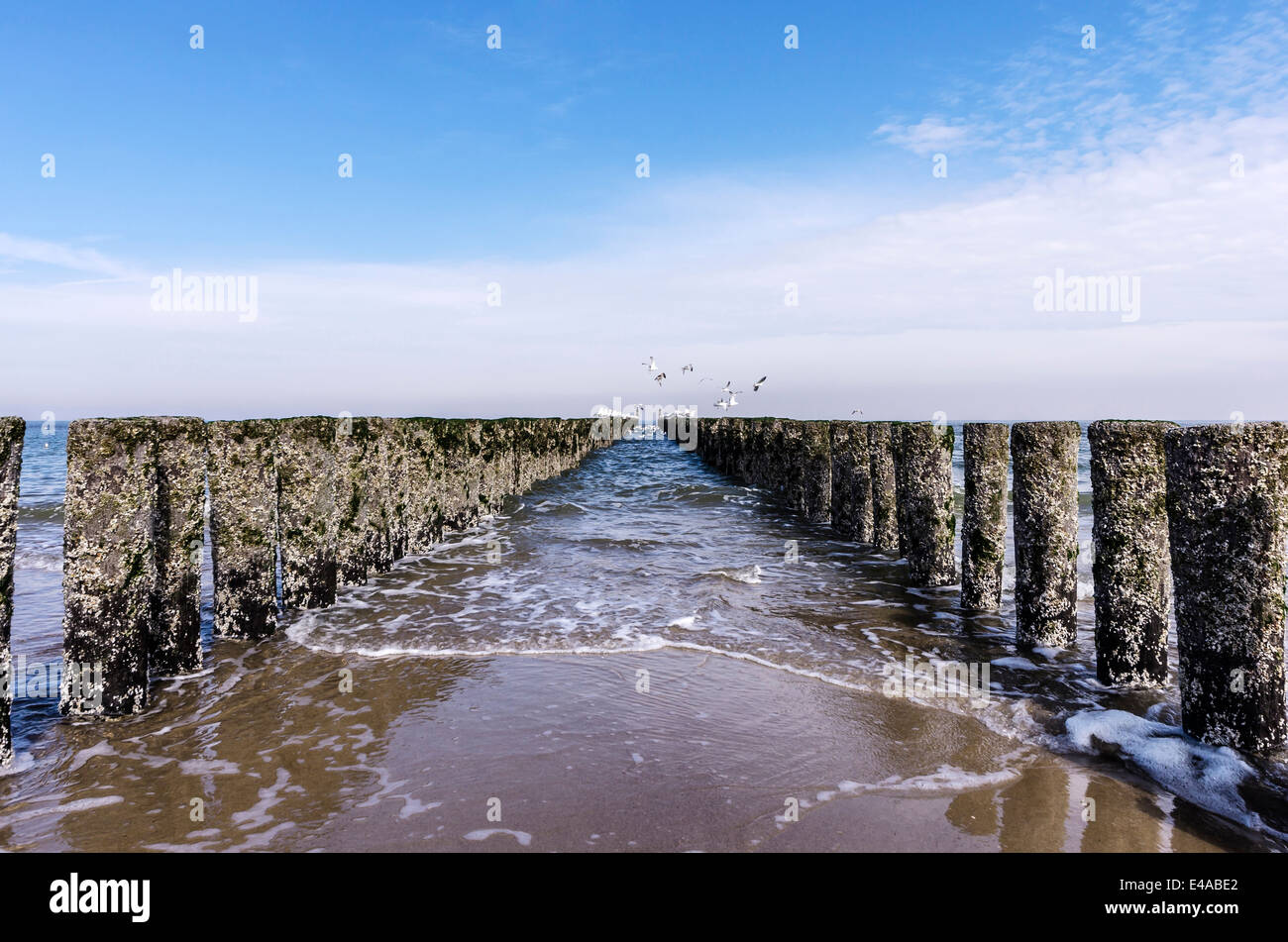 Breakwaters beach zeeland netherlands hi-res stock photography and ...