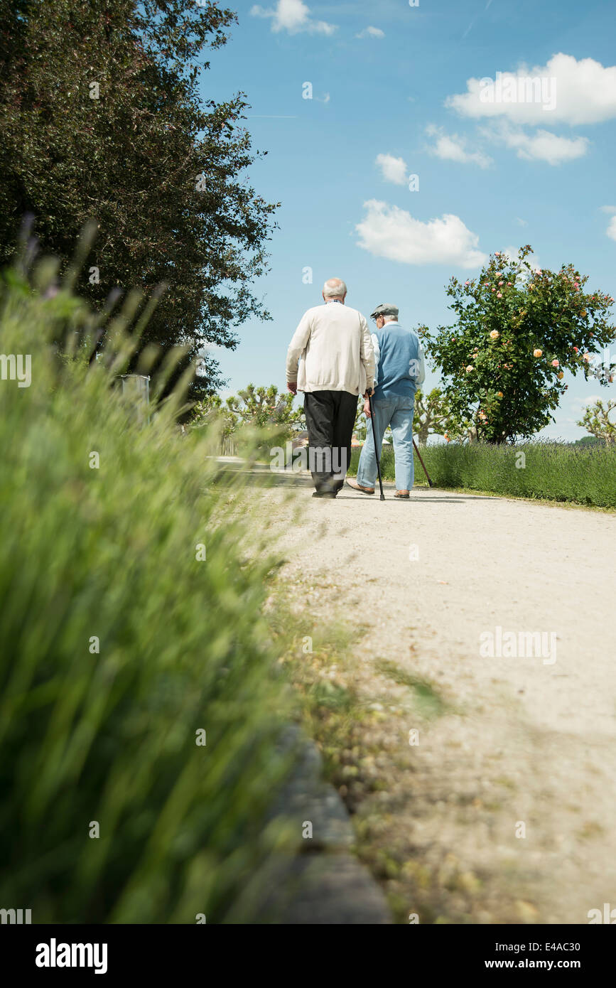 Two old friends walking in the park, back view Stock Photo - Alamy