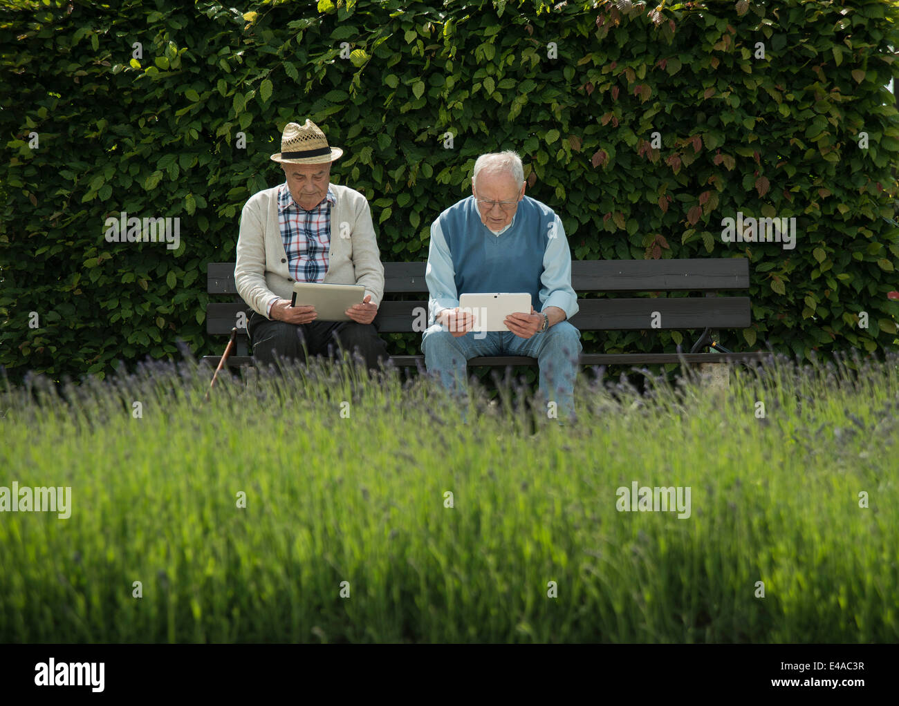 Two old men using tablet computers in the park Stock Photo - Alamy
