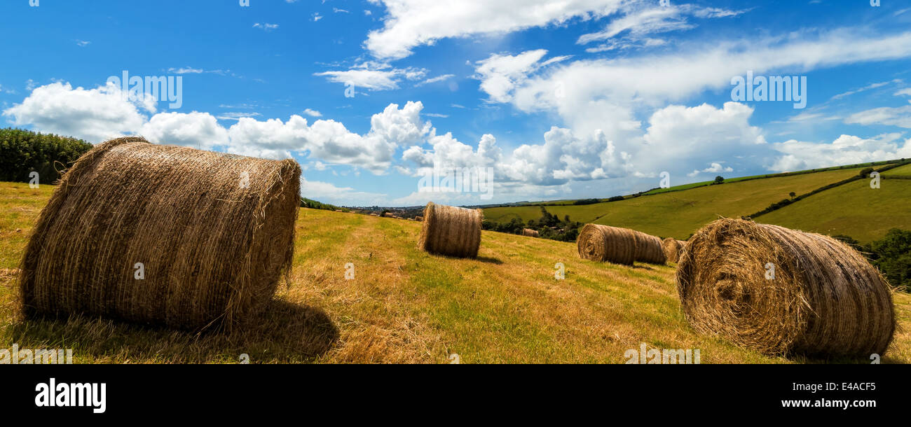 Bails of grass hi-res stock photography and images - Alamy
