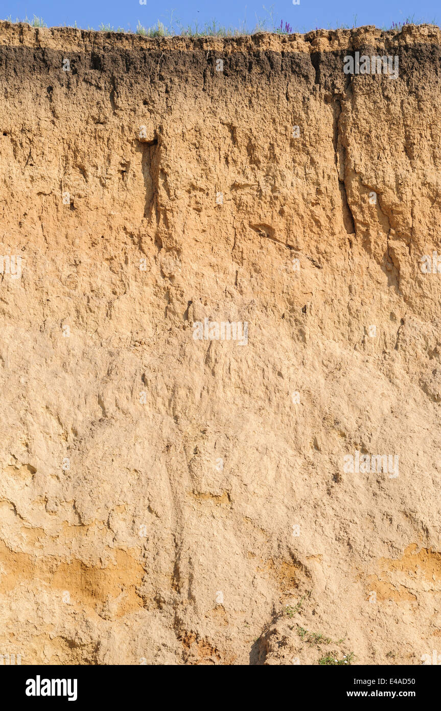 Loam soil texture hi-res stock photography and images - Alamy