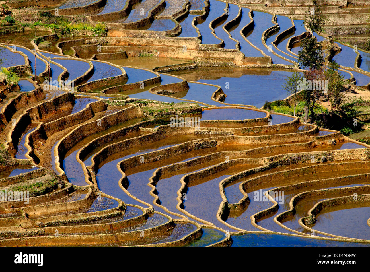 Chinese rice terraces hi-res stock photography and images - Alamy