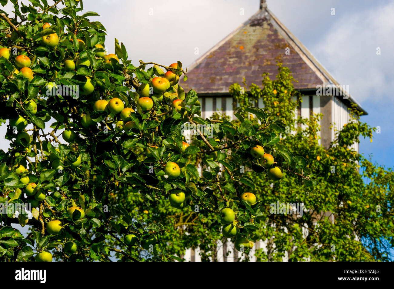 Fruit church hi-res stock photography and images - Alamy