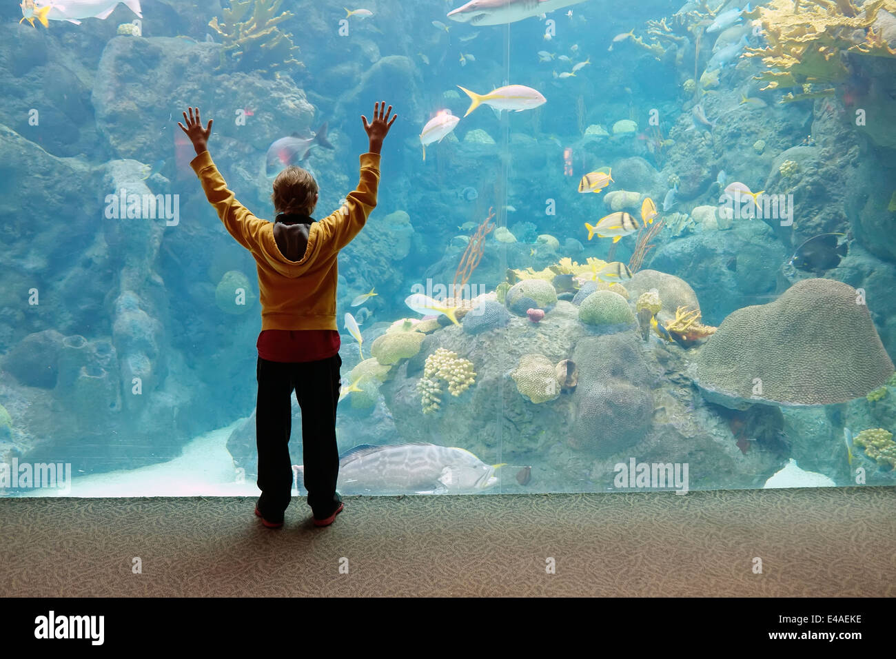 Fl te hi-res stock photography and images - Alamy