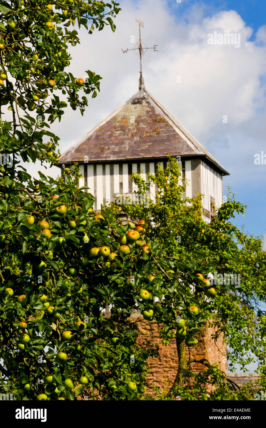 Apple trees in an orchard and St Michael's Church at Brimfield ...