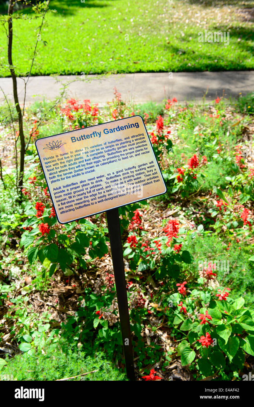 Sunken Gardens Botanical Butterfly Garden St. Petersburg FL US Stock ...