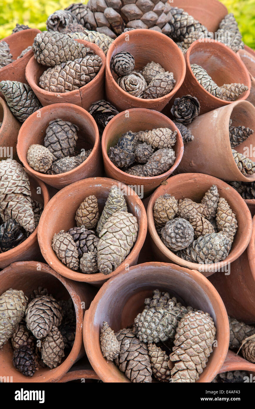 Cone of clay hi-res stock photography and images - Alamy