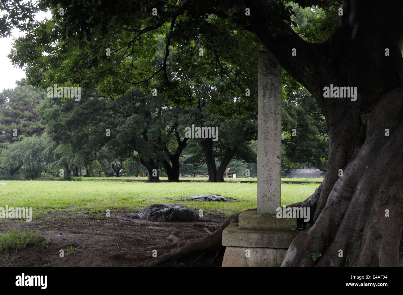 Ruins Of Musashi Kokubunji Temple High Resolution Stock Photography and ...