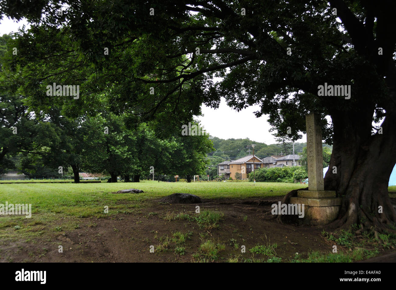 Ruins of musashi kokubunji temple hi-res stock photography and images ...