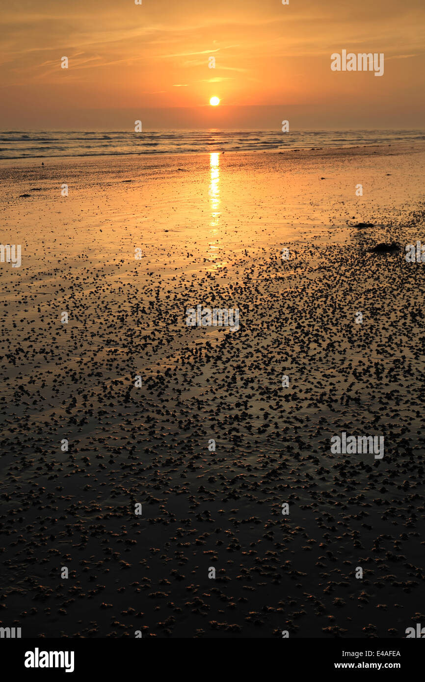 Sunset over Worthing Beach, Worthing town, West Sussex County, England ...