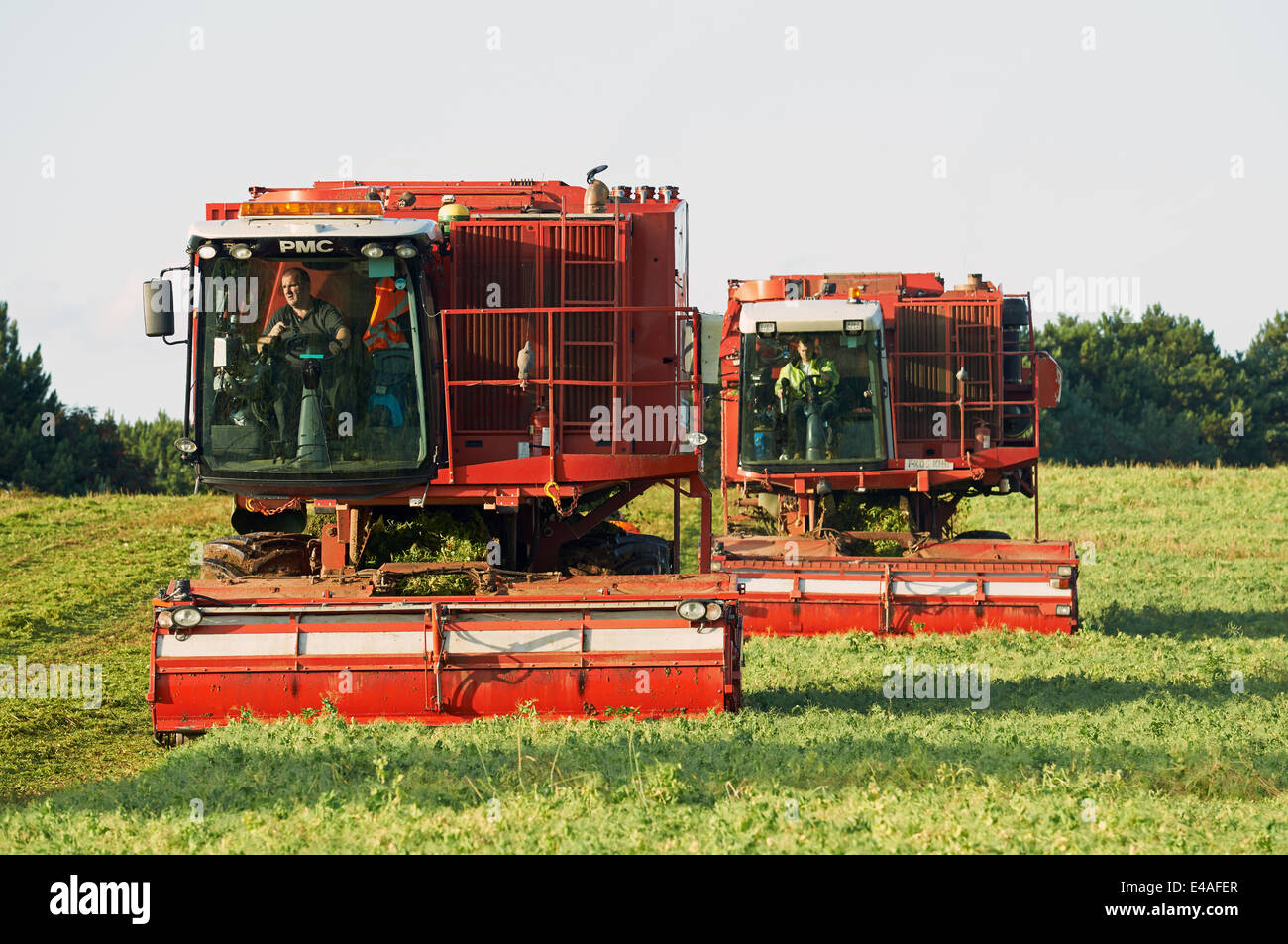 Pea viners hi-res stock photography and images - Alamy