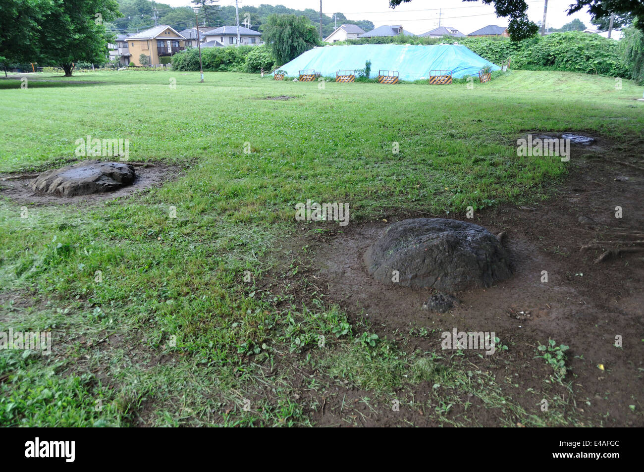 Ruin of Musashi Kokubunji Temple,Kokubunji,Tokyo,Japan Stock Photo - Alamy