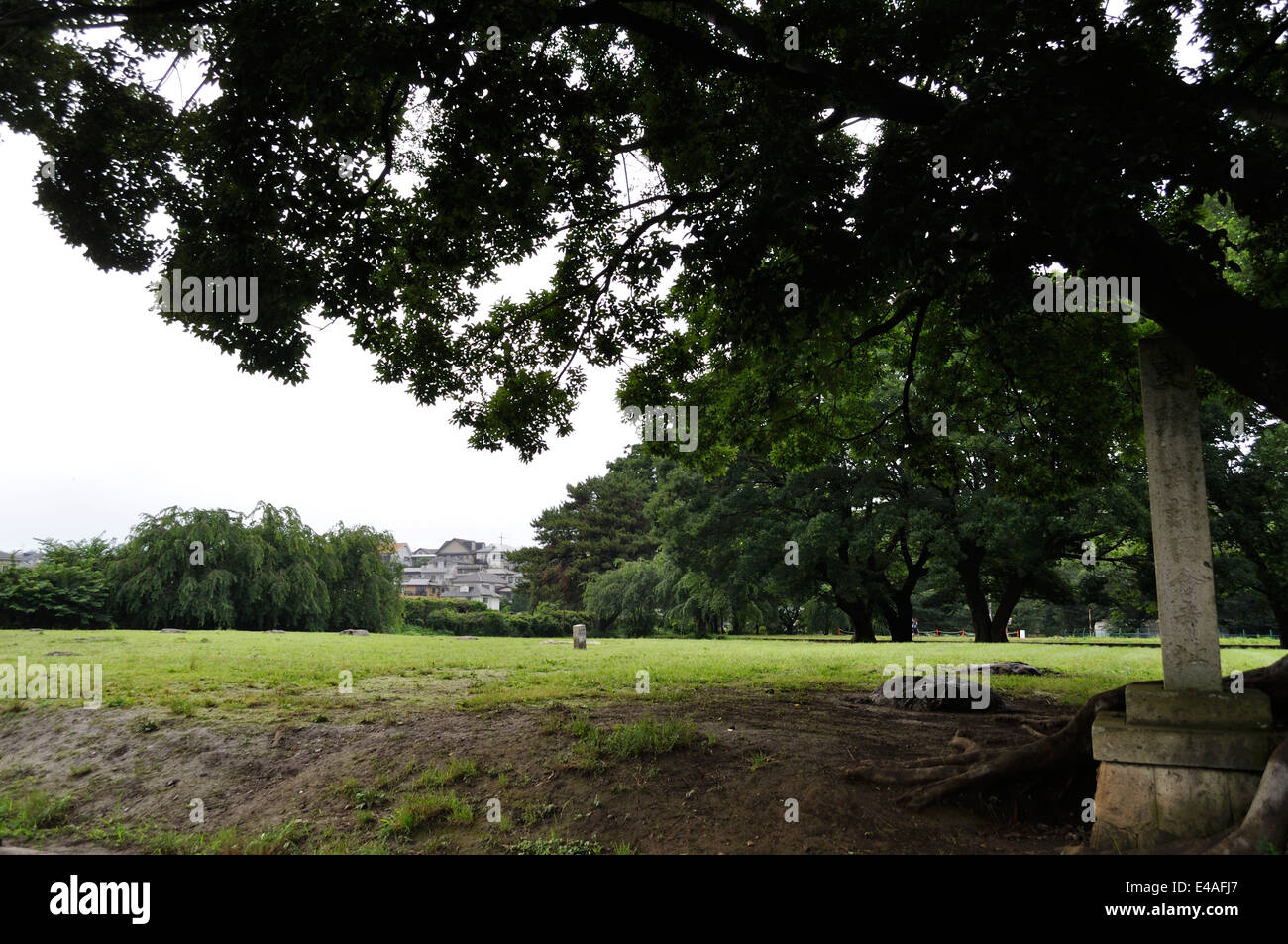 Ruin of Musashi Kokubunji Temple,Kokubunji,Tokyo,Japan Stock Photo - Alamy