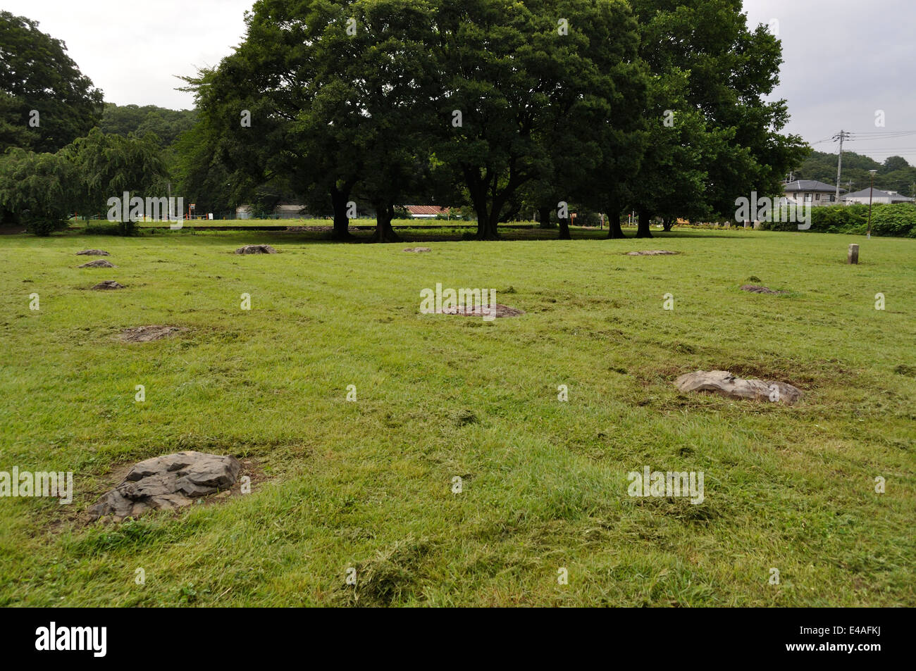 Ruin of Musashi Kokubunji Temple,Kokubunji,Tokyo,Japan Stock Photo - Alamy