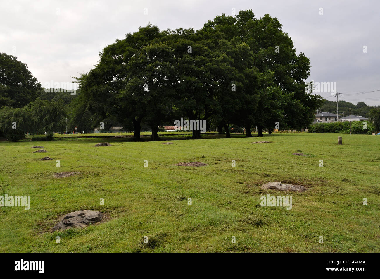 Ruins Of Musashi Kokubunji Temple High Resolution Stock Photography and ...