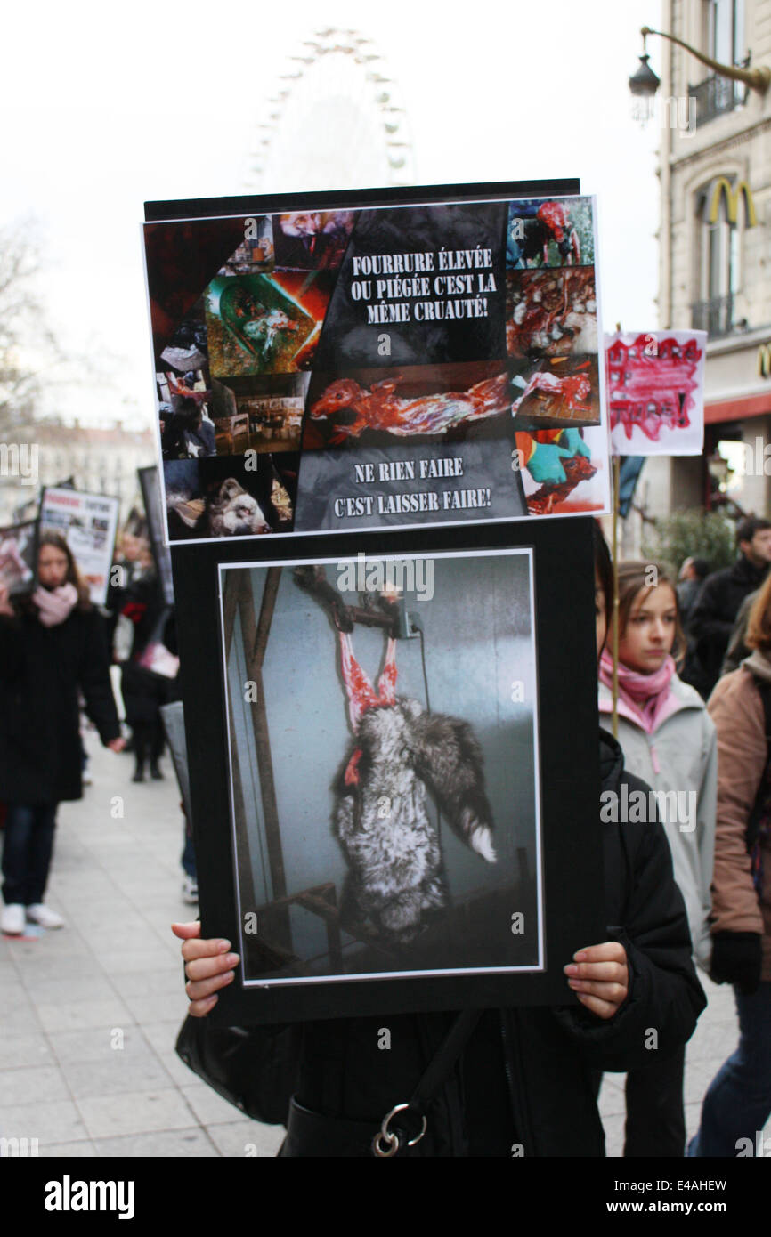 Protest against animal torture, animal experimentation and fur, Lyon ...