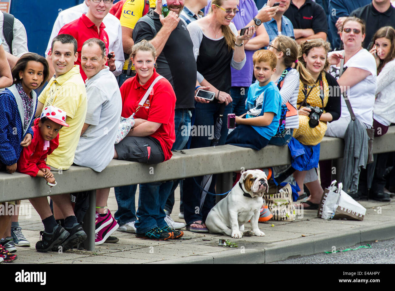 Third leg hi-res stock photography and images - Alamy