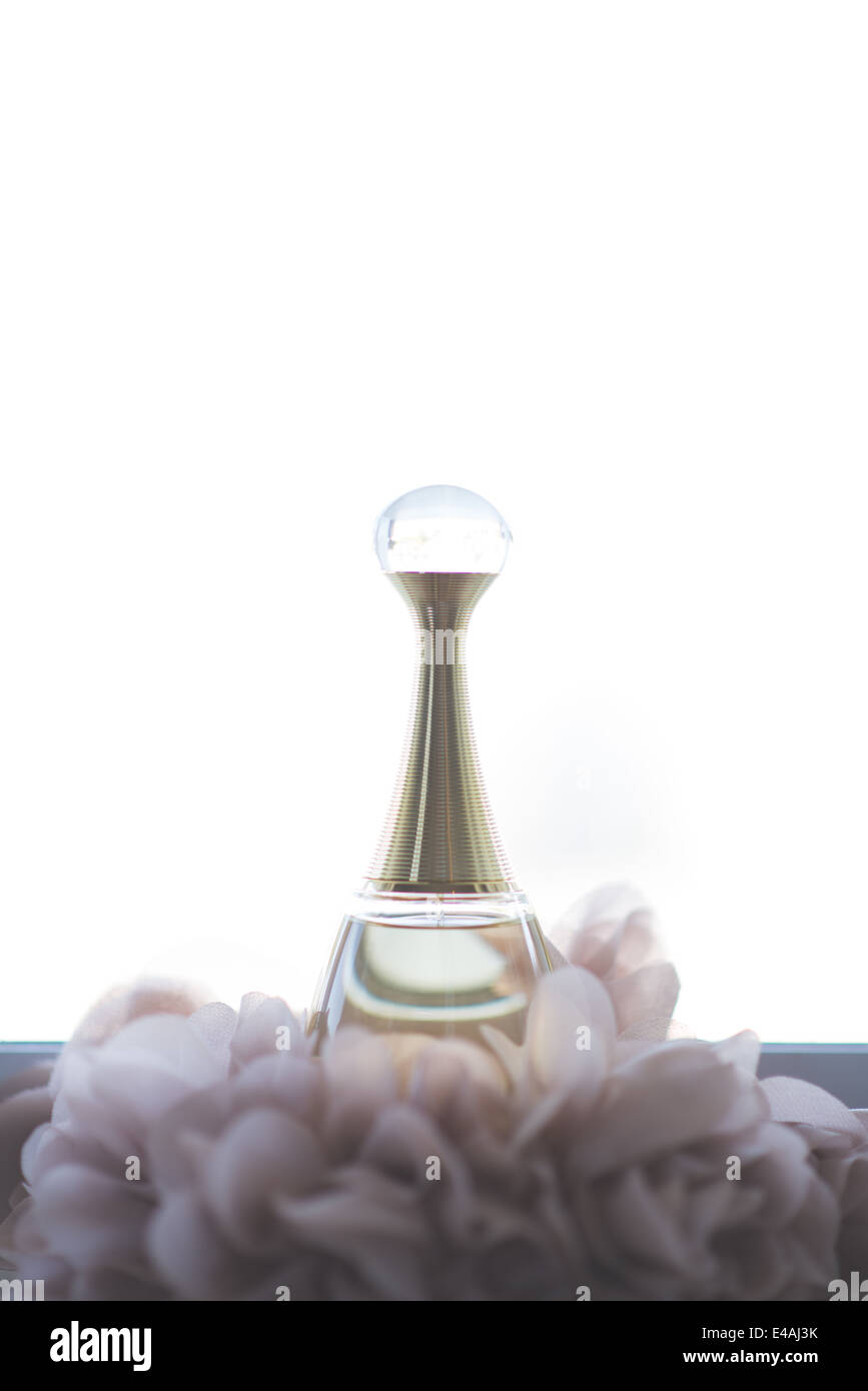 Close up wedding day! hi-res stock photography and images - Alamy