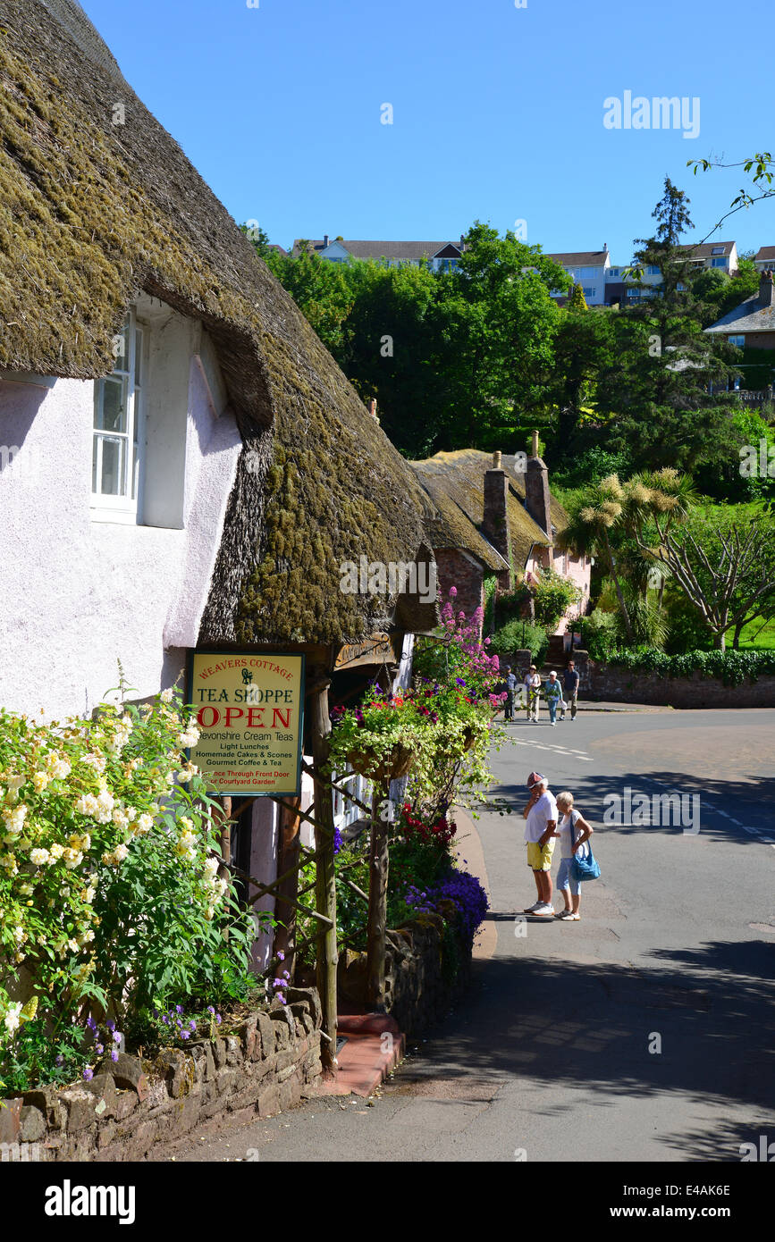 Cockington Devon High Resolution Stock Photography and Images - Alamy