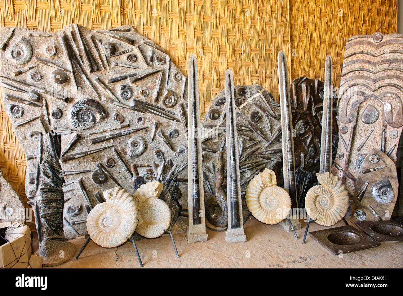 Erfoud Fossil and Trilobites Centre from the Area of Tafiliat ...
