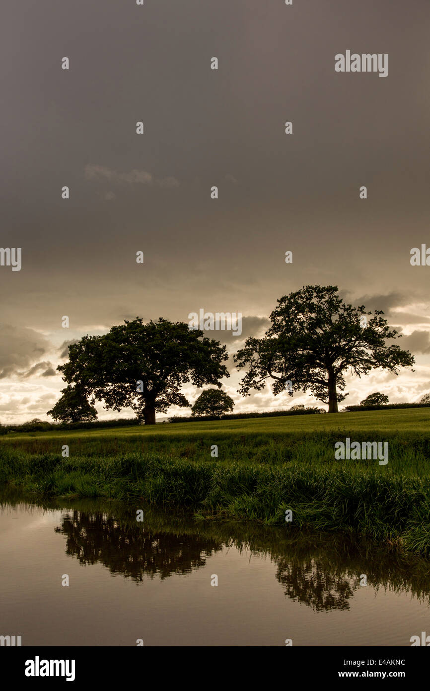 Evening waterway reflections, Great Britain, UK Stock Photo - Alamy