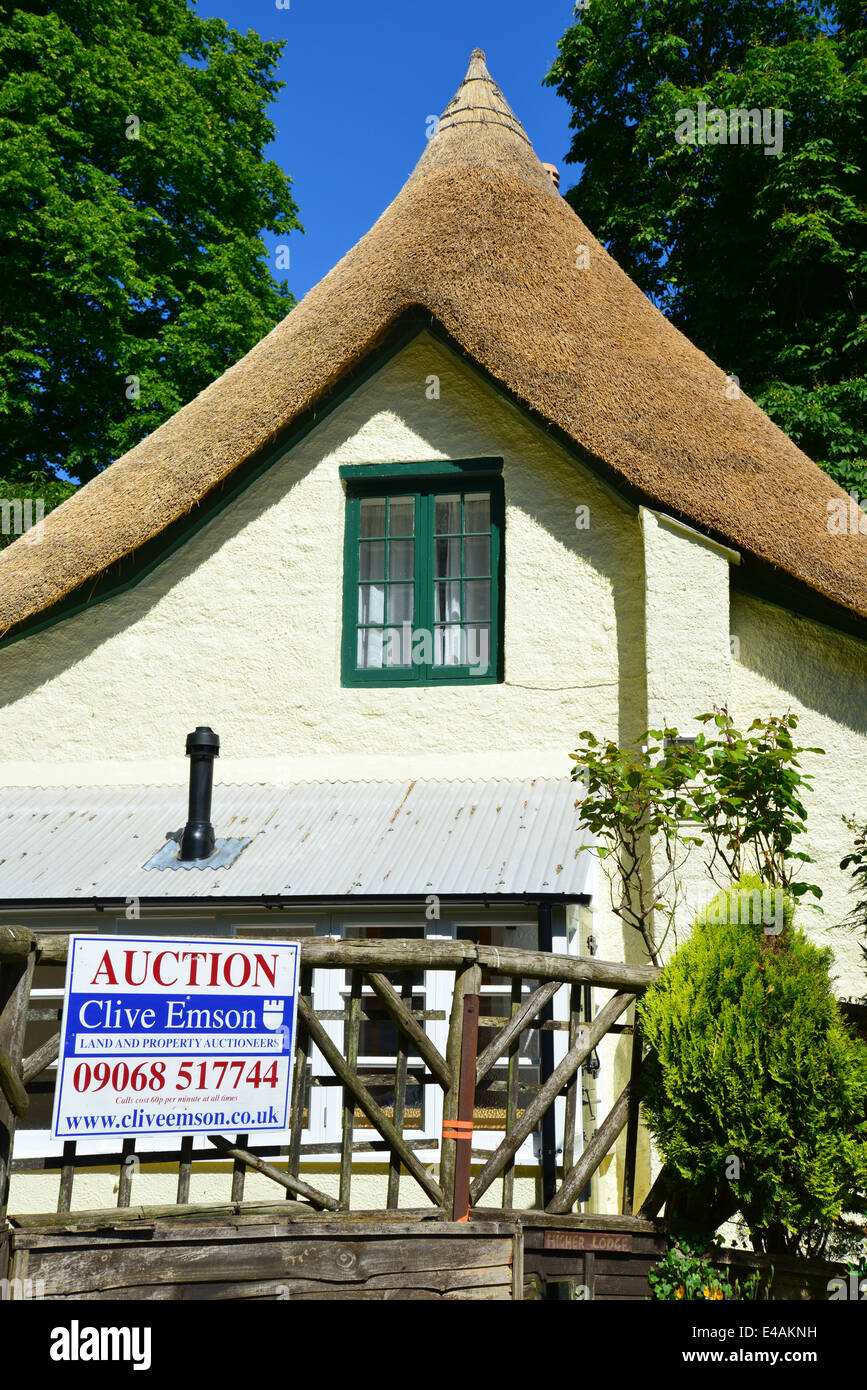 Auction sign for thatched cottage, Cockington Village, Torquay. Devon ...