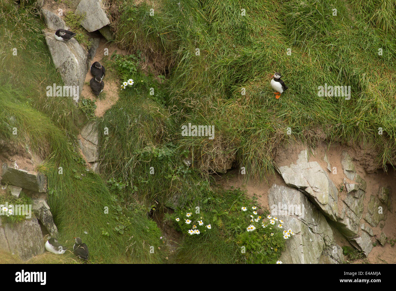 Windy rock hi-res stock photography and images - Alamy