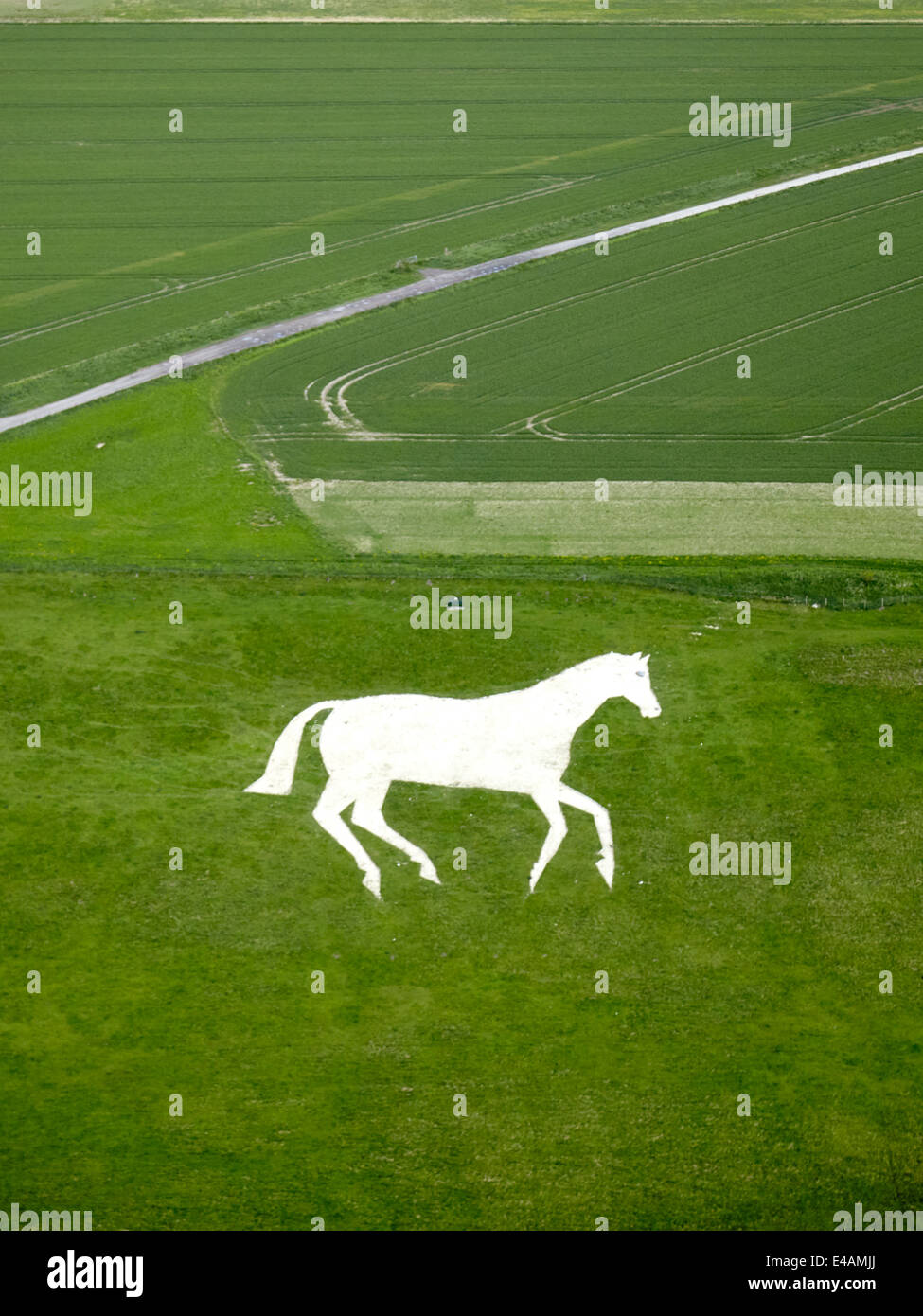 Marlborough White Horse High Resolution Stock Photography and Images ...