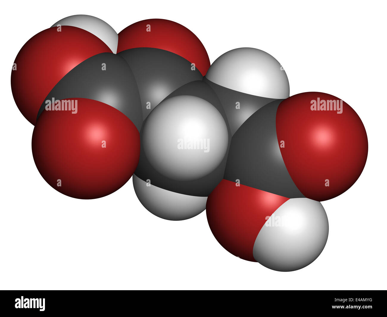 Alpha-ketoglutaric acid (ketoglutarate, oxo-glutarate). Intermediate ...