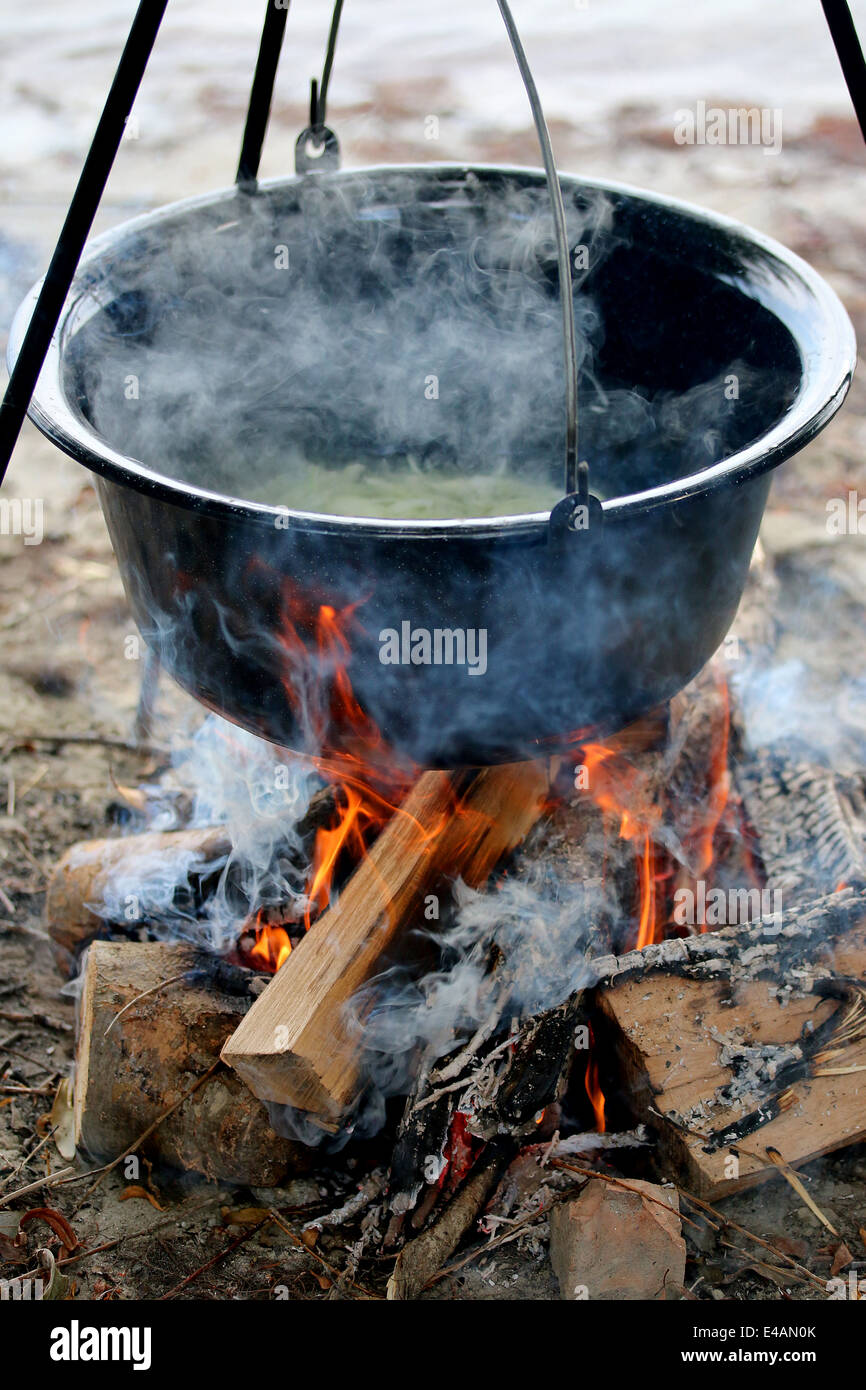 Fire in nature hi-res stock photography and images - Alamy