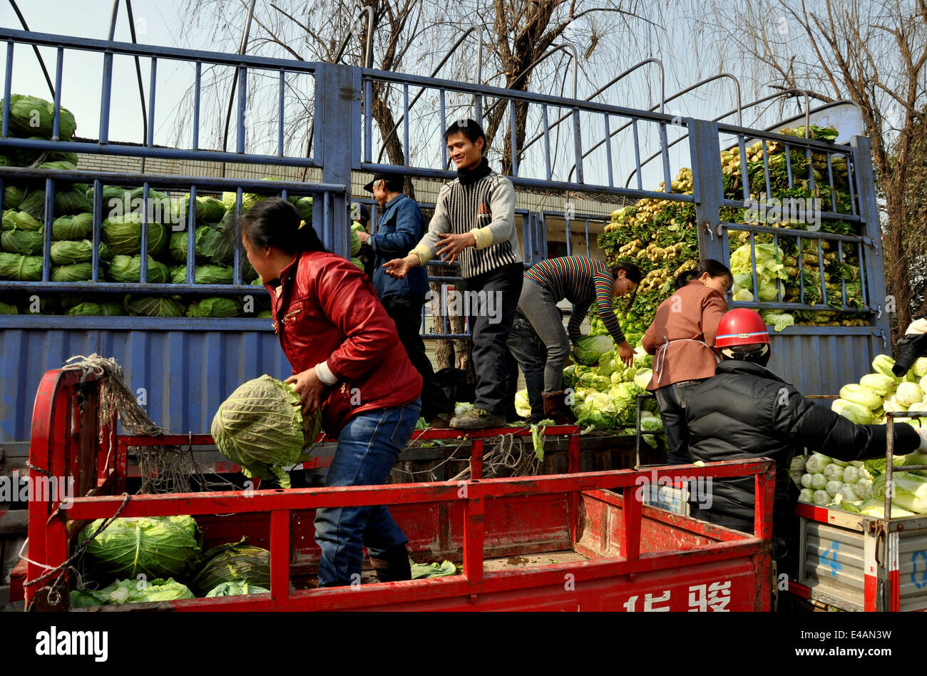 Farmers loading produce into truck hi-res stock photography and images ...