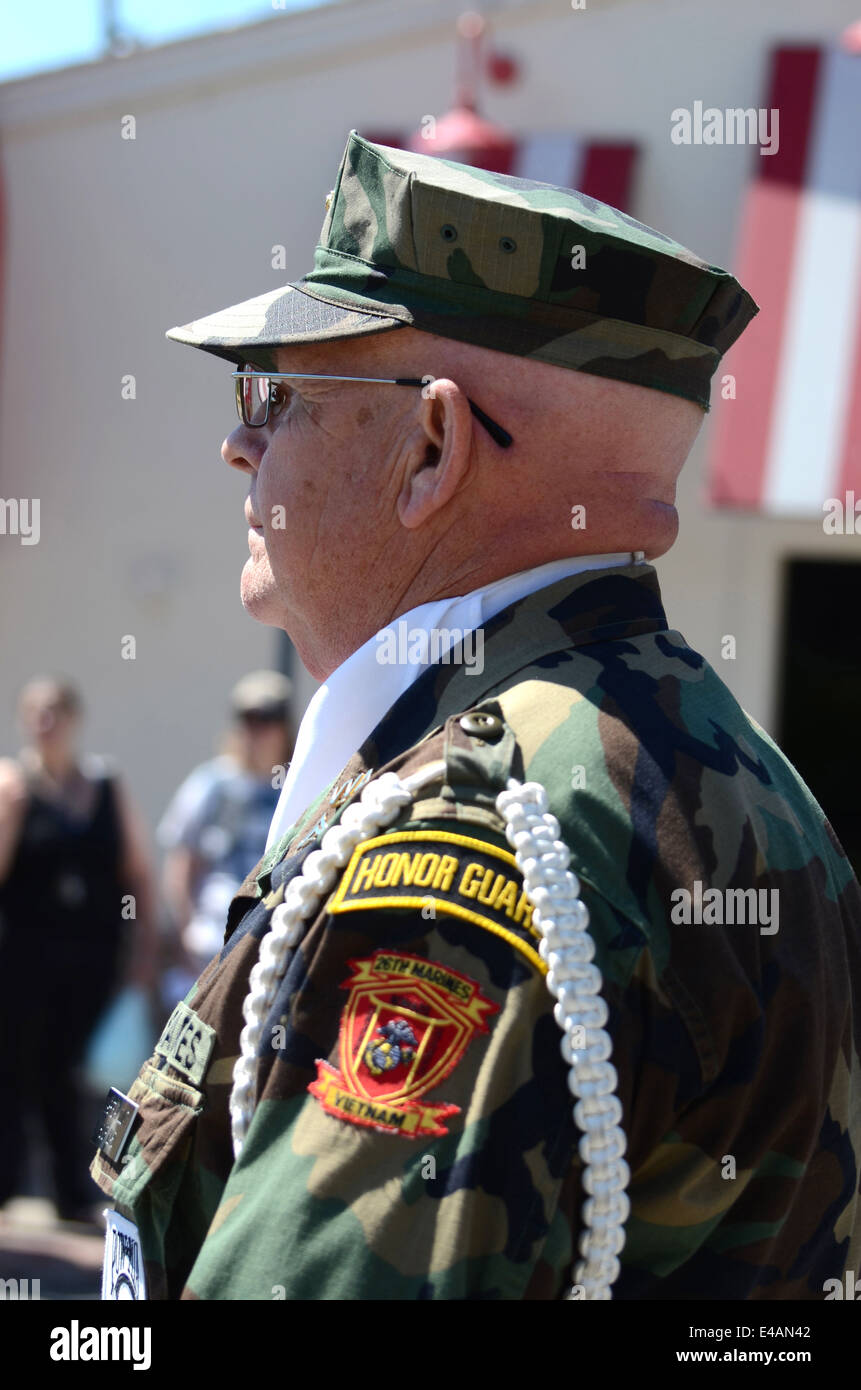 YPSILANTI, MI - JULY 4: Vietnam veteran marches at the 4th of July ...