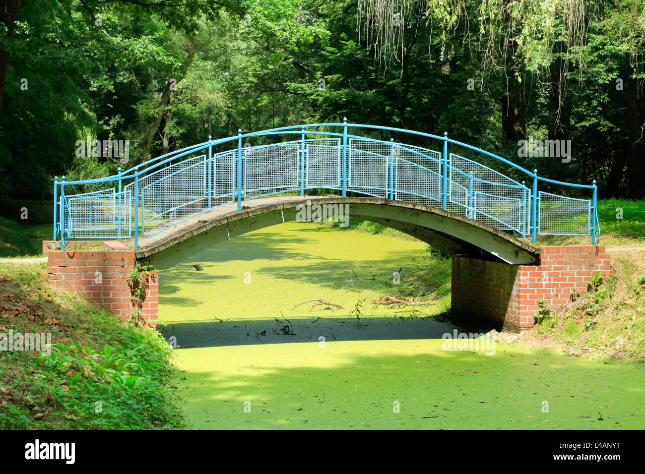 Blue bridge in park Stock Photo - Alamy