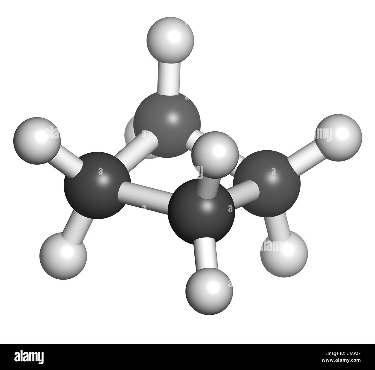 cyclobutane cyclic alkane (cycloalkane) molecule. Atoms are represented ...