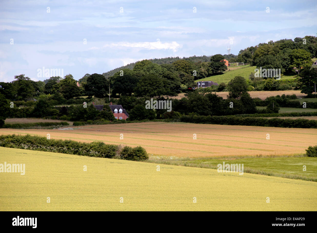 Peaceful sunlit landscape of natural beauty Stock Photo - Alamy