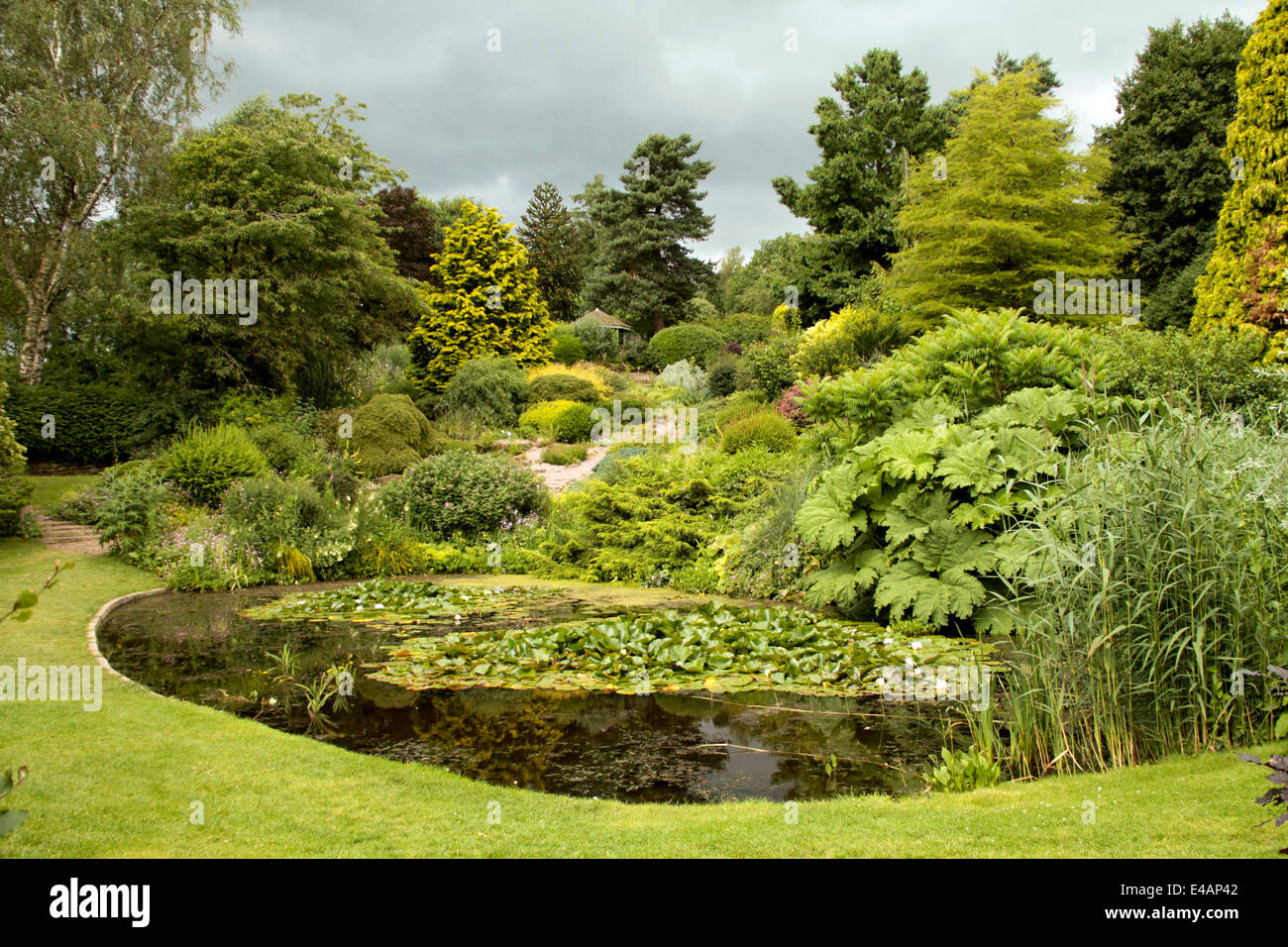 Calm reflective pool and landscape gardens at Dorothy Clive gardens ...