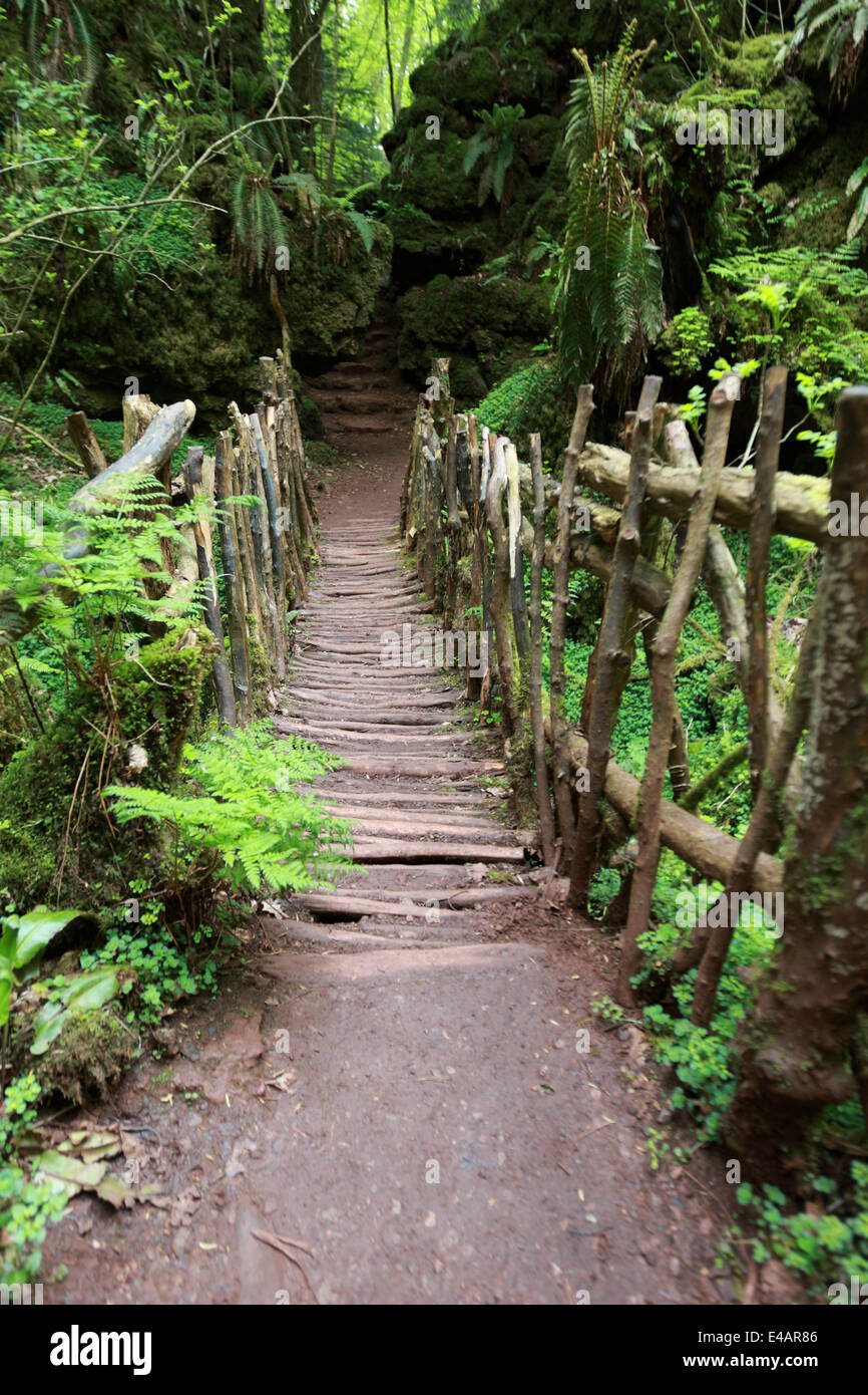 Forest of Dean, Coleford, UK. 8th July, 2014. Actual shoot date varies ...