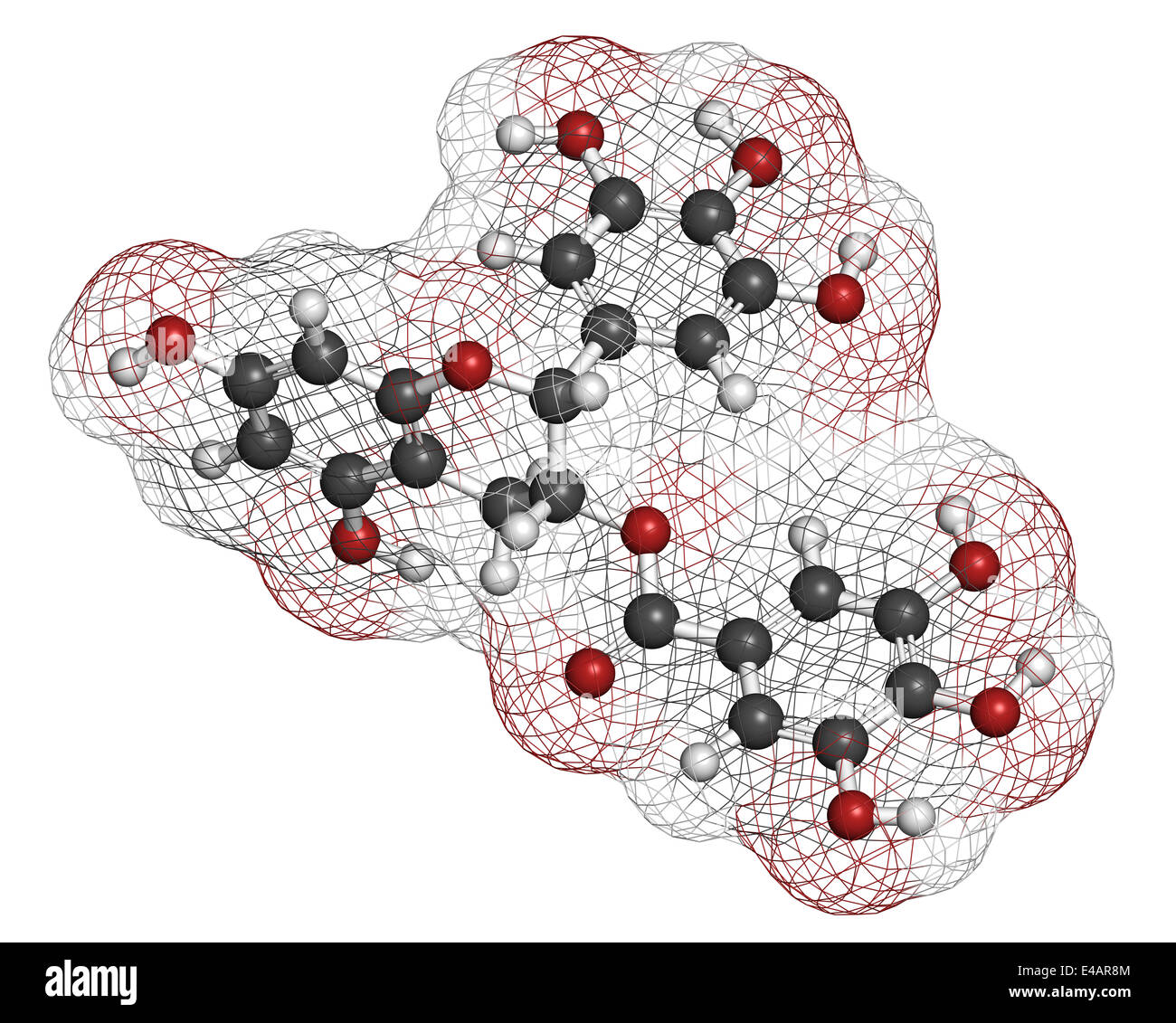 Epigallocatechin gallate (EGCG) green tea polyphenol molecule. Has ...