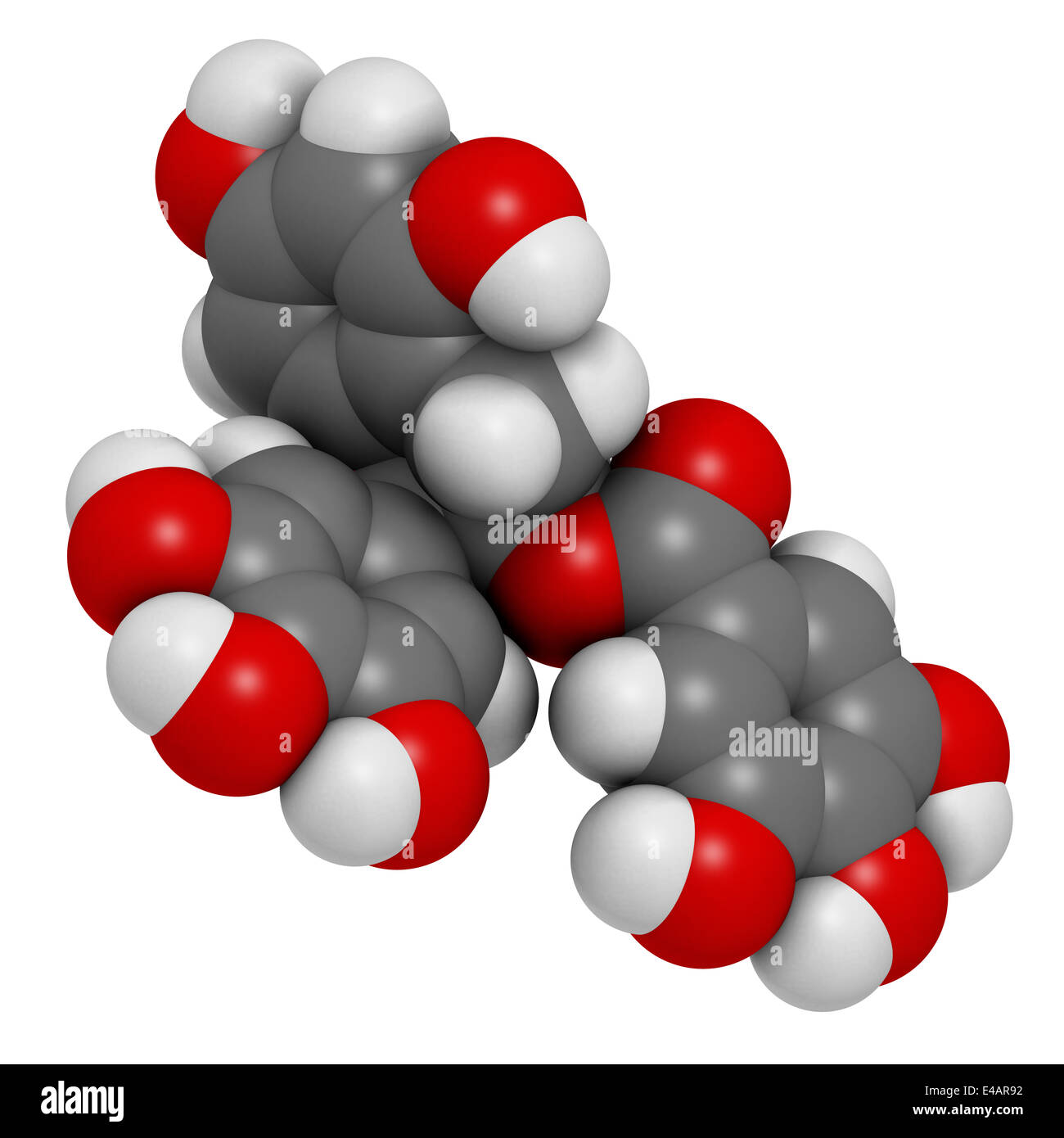 Epigallocatechin gallate (EGCG) green tea polyphenol molecule. Has ...
