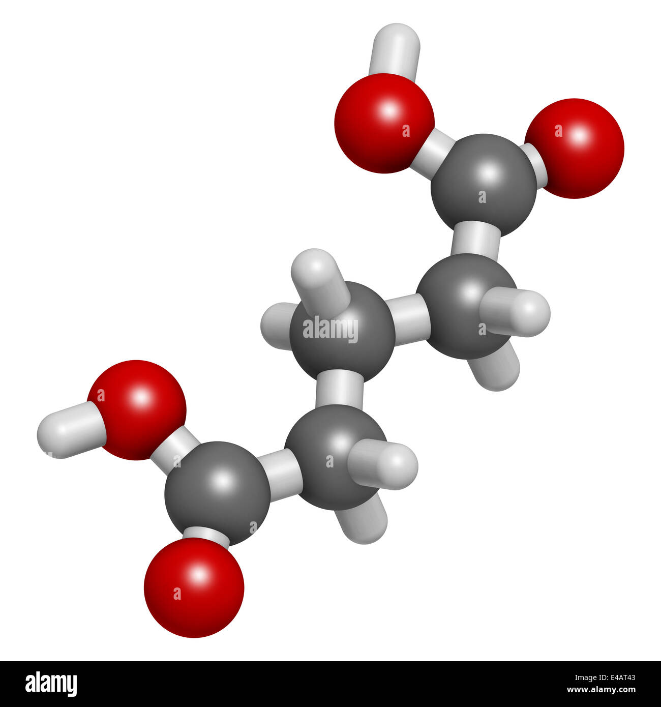 Glutaric acid molecule. Organic dicarboxylic acid. Atoms are ...