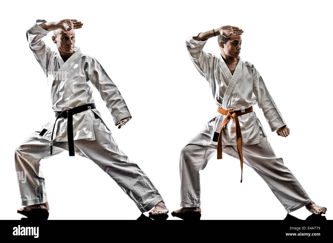 Sensei Stock Photos & Sensei Stock Images - Alamy