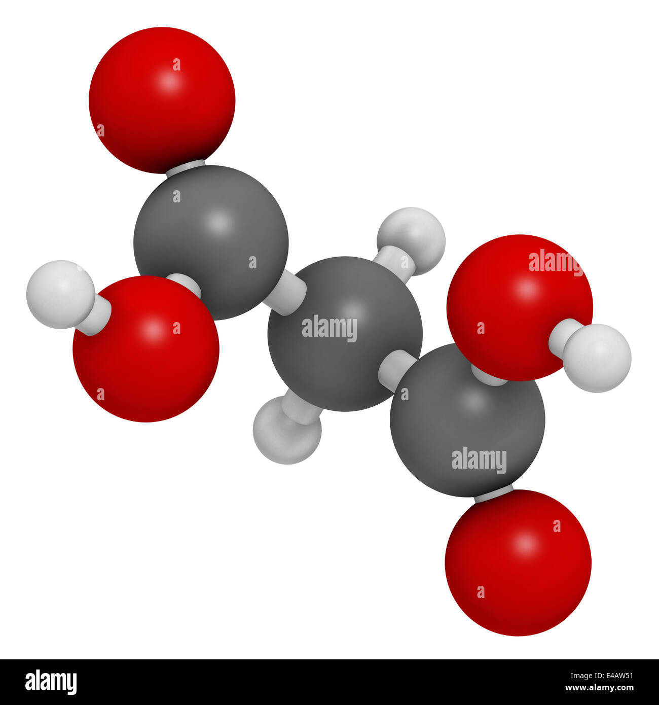 Malonic acid organic dicarboxylic acid molecule. Atoms are represented ...