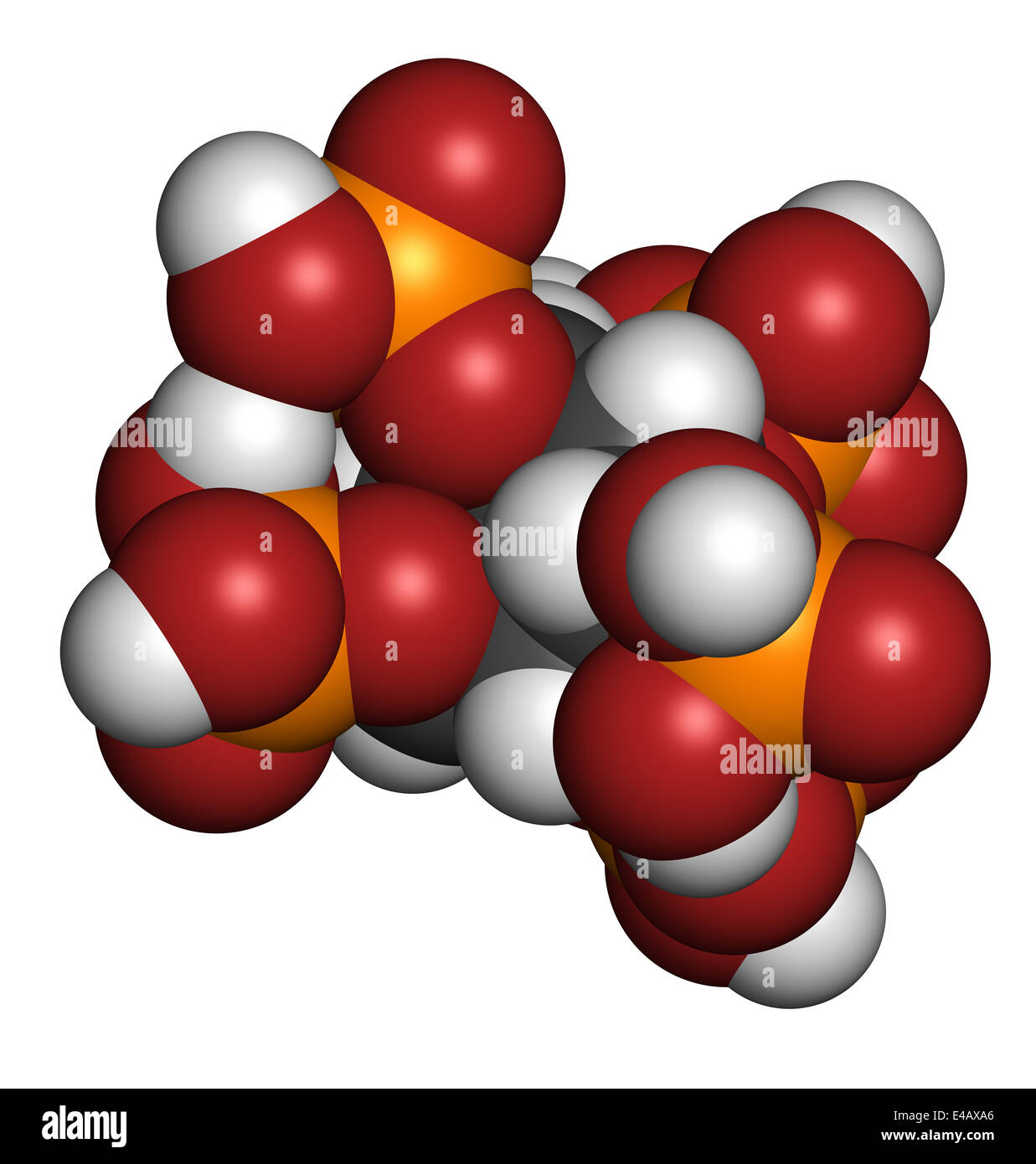 Phytate hi-res stock photography and images - Alamy